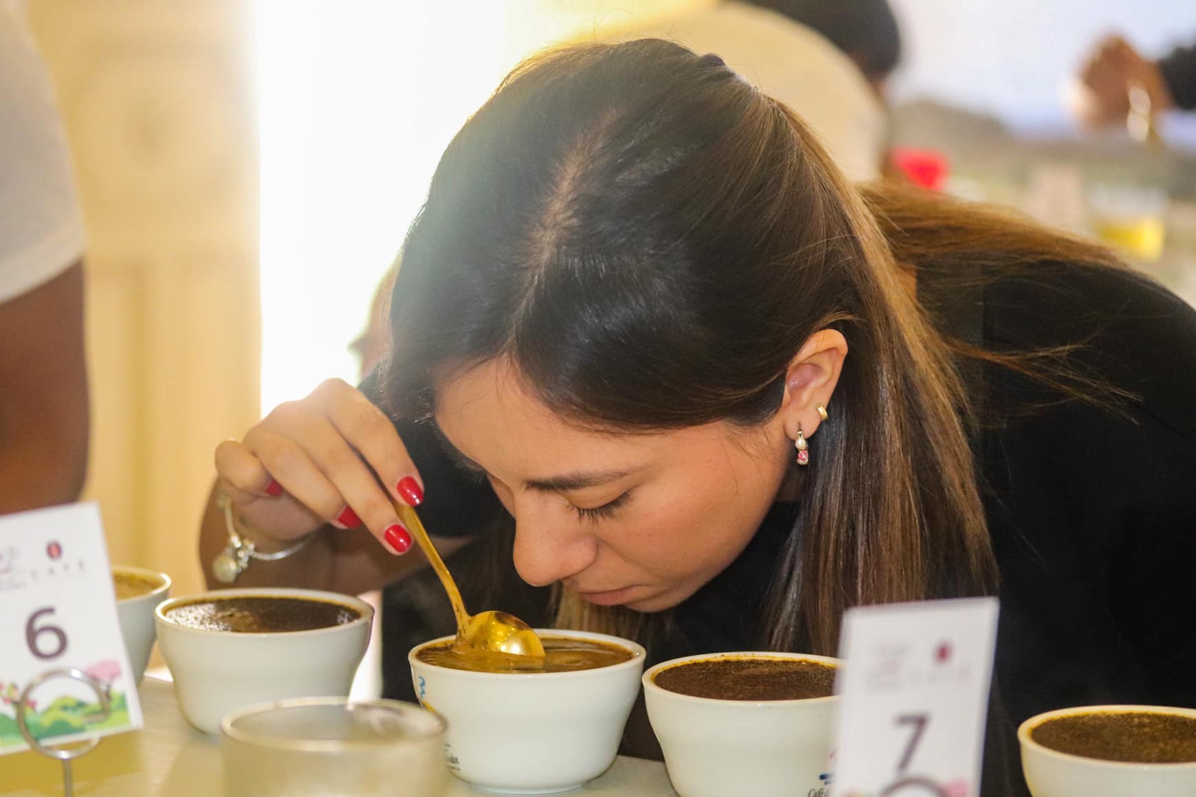 Conviértete en un Experto Degustador | Cual café es el mejor del mundo